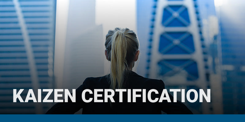 Kaizen Leader Online Certification Course Package – Acuity Institute
